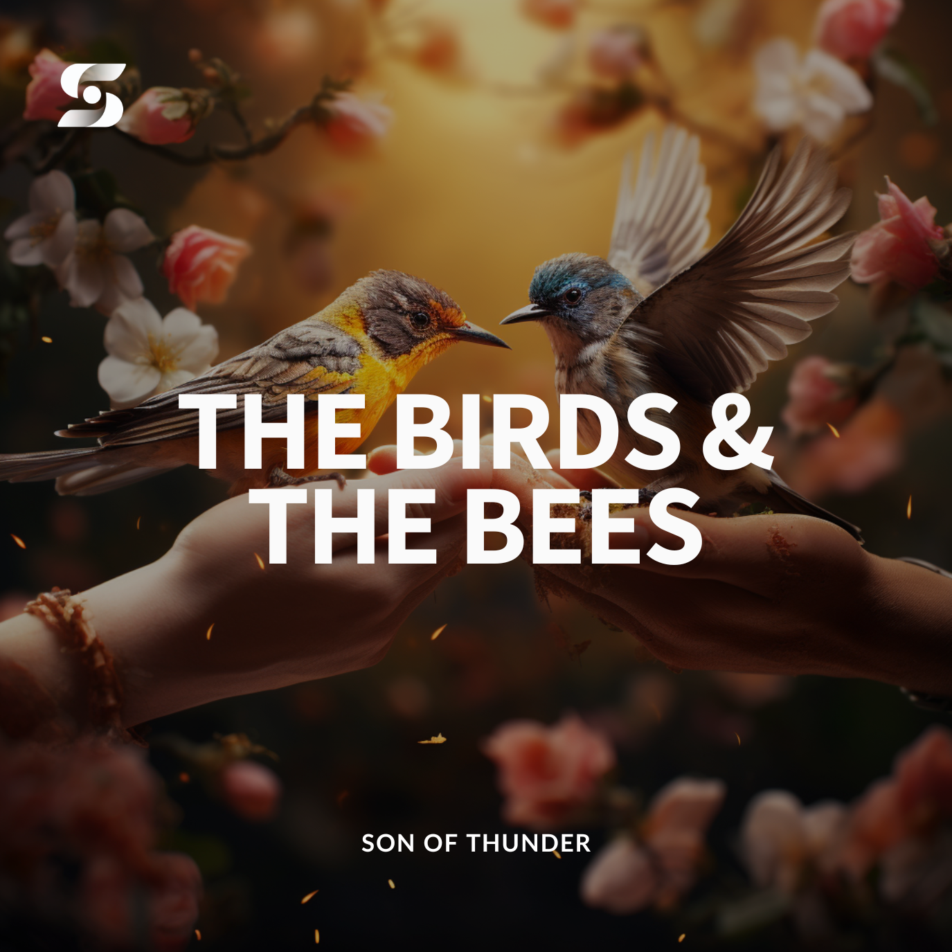 The Birds and The Bees
